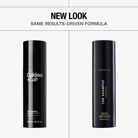The Shampoo – Caldera + Lab